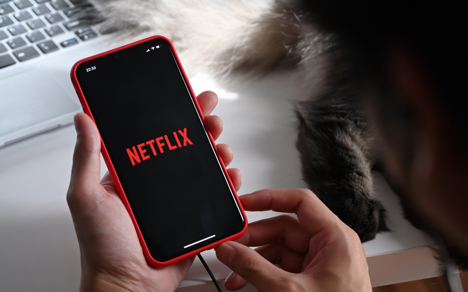 The "Netflix Effect" | Ecrubox